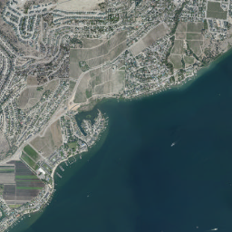 ArcGIS Web Application